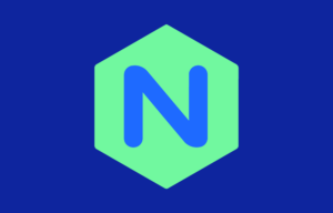 What Is an Nginx Pod in Kubernetes? Deployment and Use Cases